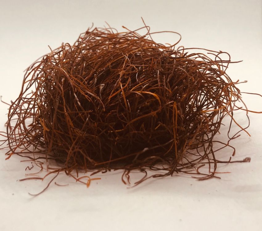 Chile Pepper-Yi Du Chile Threads